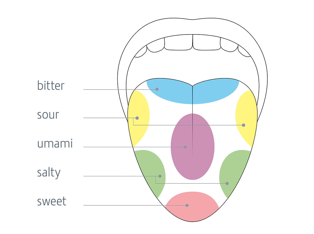 Wahrnehmung mit allen Sinnen - JURA Schweiz